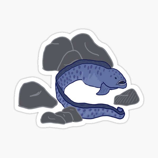 "Wolf Eel (white)" Sticker by Squiddllr | Redbubble