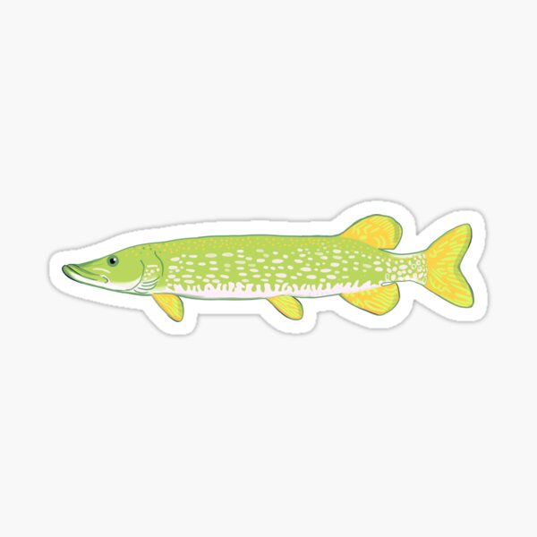 "Northern Pike" Sticker for Sale by MidnightFern | Redbubble
