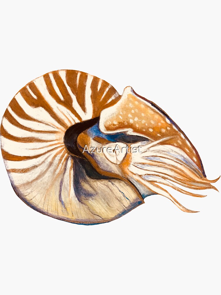 "Nautilus " Sticker for Sale by AzureArtist | Redbubble