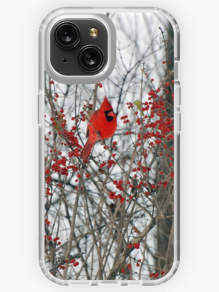 "Cardinal " iPhone Case for Sale by Vonnie Murfin | Redbubble