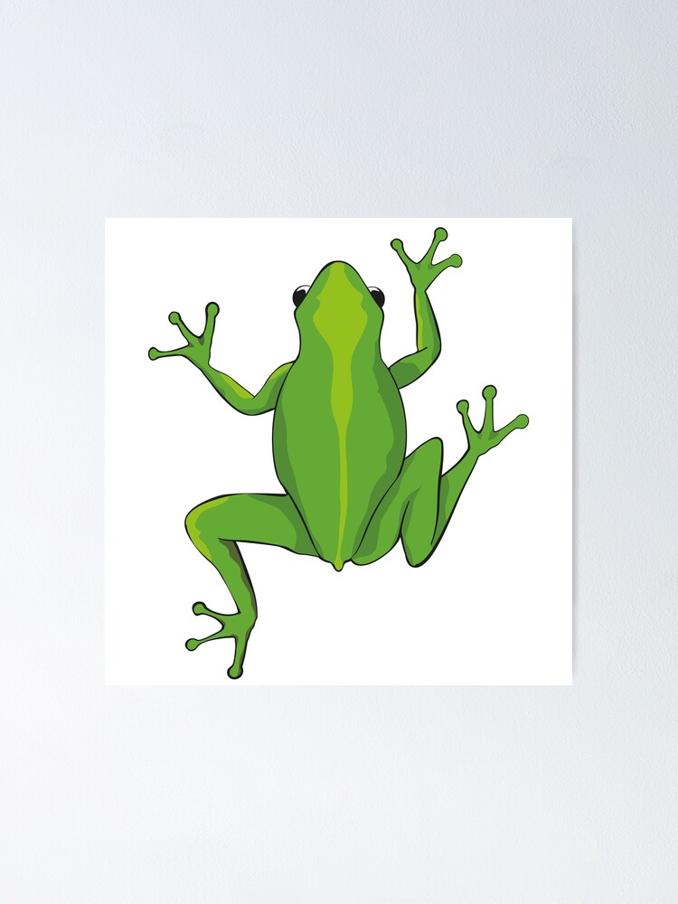 "Cute Green Tree Frog Cartoon Illustration" Poster by funktiger | Redbubble