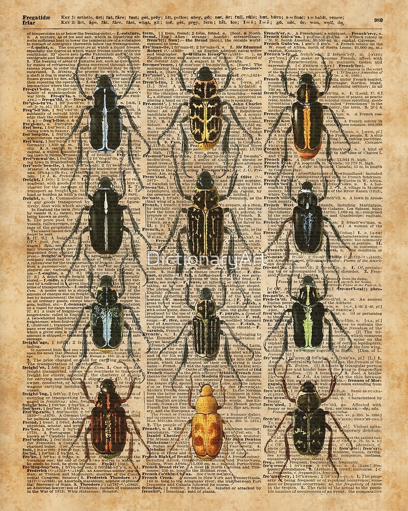 "Beetles & Bugs,Insect Chart,Biological Illustration on Vintage ...