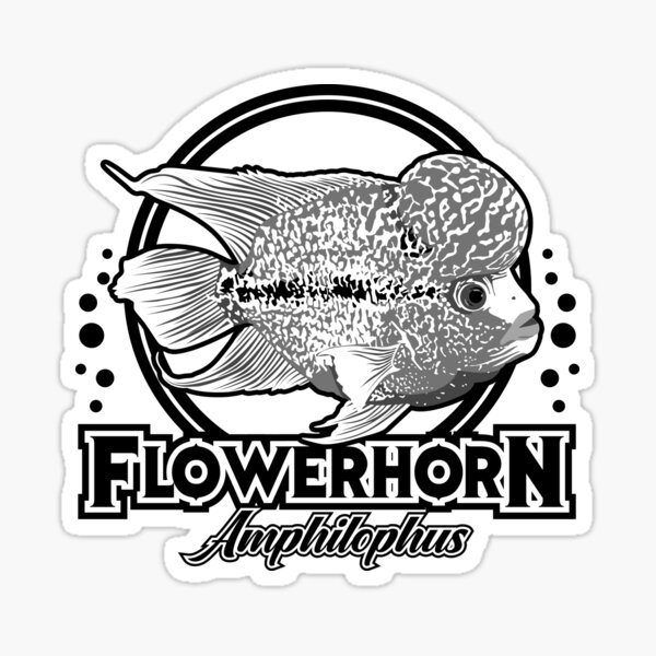 "Flowerhorn Cichlid - Amphilophus Tropical Aquarium Fish b/w" Sticker ...