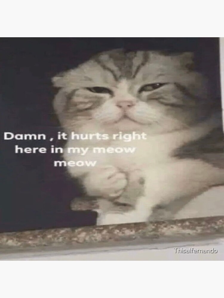 Sympathy Cat Memes Memorial Pet Memes & Quotes – Silver Creek Glass