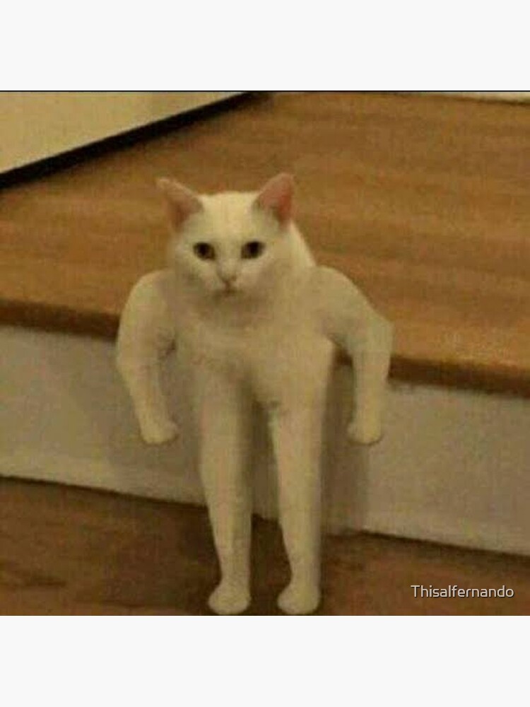 "Immortal cat" Poster for Sale by Thisalfernando | Redbubble