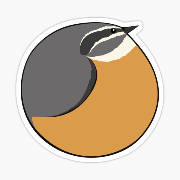 "Red-breasted Nuthatch, Bird Ball" Sticker by conscript | Redbubble
