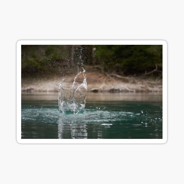 "Water fountain" Sticker by beatbieri-ch | Redbubble