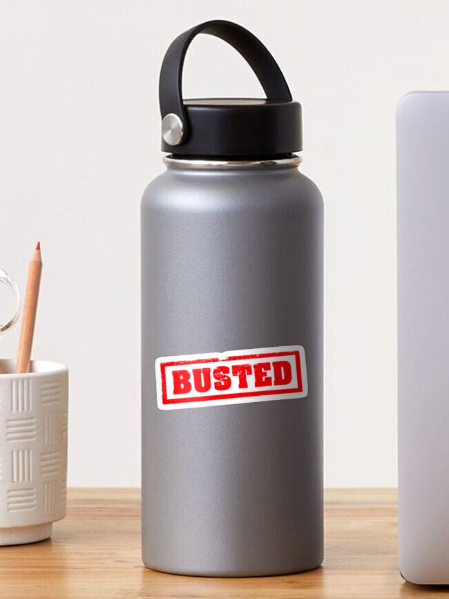"Busted Logo (red)" Sticker for Sale by emmalsummerhaye | Redbubble