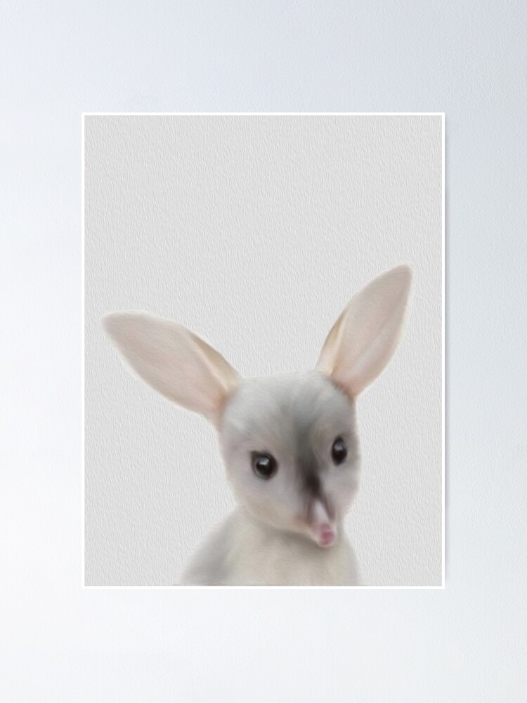 "Baby Bilby - Cute Animals - Graphics Art" Poster by artswag | Redbubble