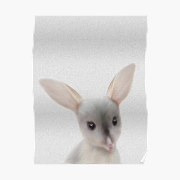 "Baby Bilby - Cute Animals - Graphics Art" Poster by artswag | Redbubble