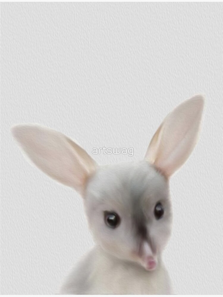 "Baby Bilby - Cute Animals - Graphics Art" Sticker by artswag | Redbubble