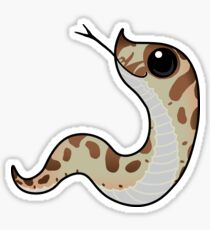 Hognose Stickers | Redbubble