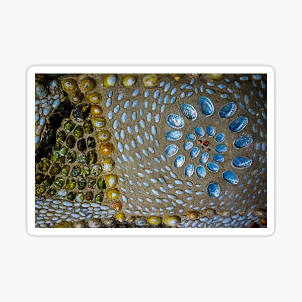 "Shell Patterns" Sticker by sarahfmorris | Redbubble