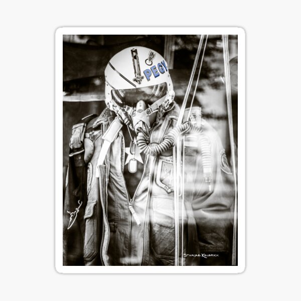 "The U.S Airman" Sticker for Sale by Stwayne | Redbubble