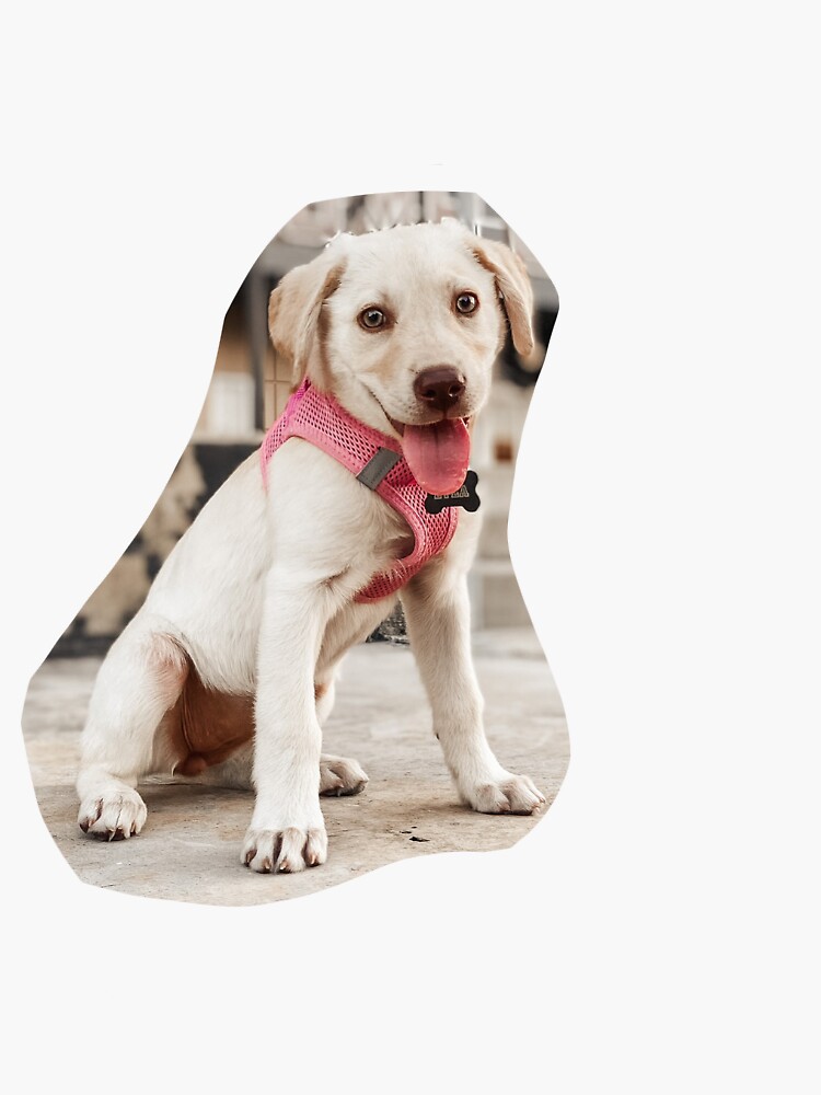 "Lyla" Sticker for Sale by b-kcreates | Redbubble