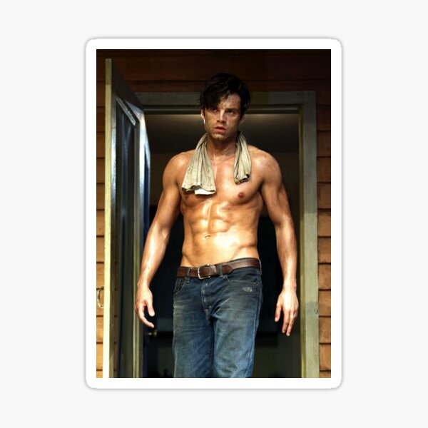 "Sebastian Stan " Sticker for Sale by ray-visage | Redbubble