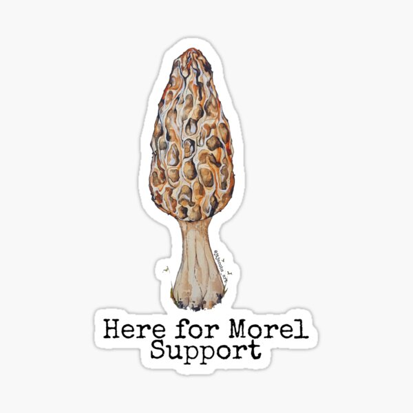 "Here for MOREL SUPPORT" Sticker by bluejayknits | Redbubble