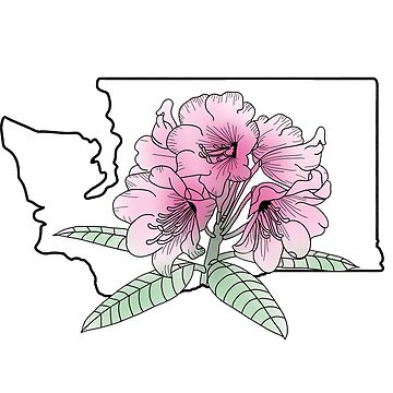 "Washington State Flower" Sticker for Sale by claireepete | Redbubble