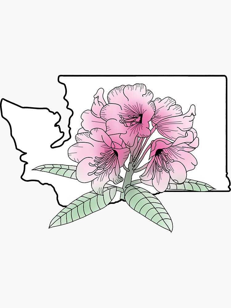 "Washington State Flower" Sticker for Sale by claireepete | Redbubble