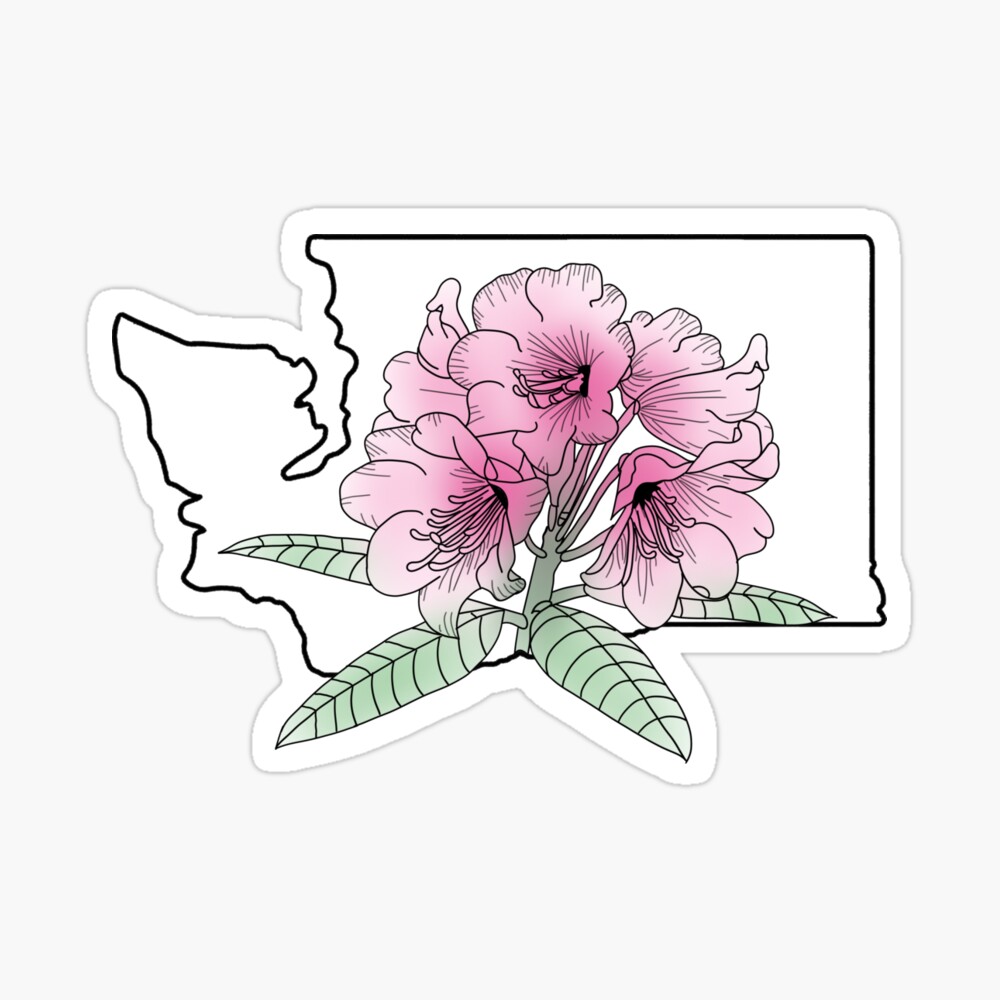 Washington State Flower Cartoon