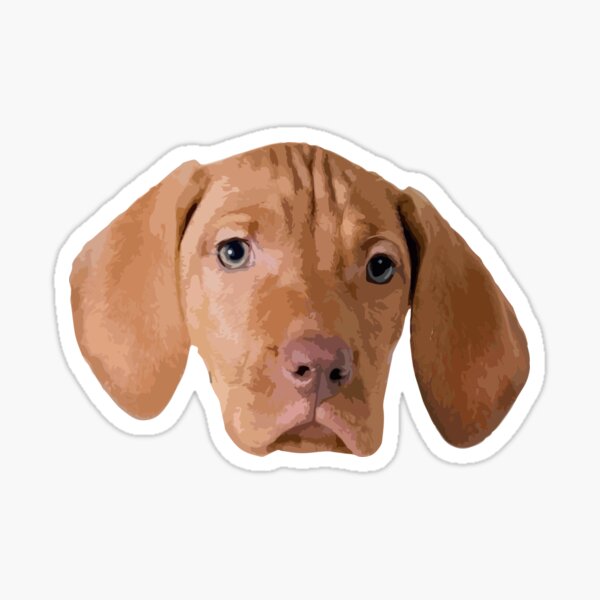 "Hungarian Vizsla" Sticker for Sale by EuphoricRice | Redbubble