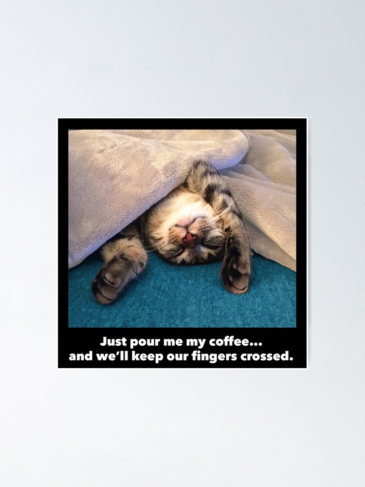 "Sleepy Cat Coffee memes" Poster by CoachBrent | Redbubble