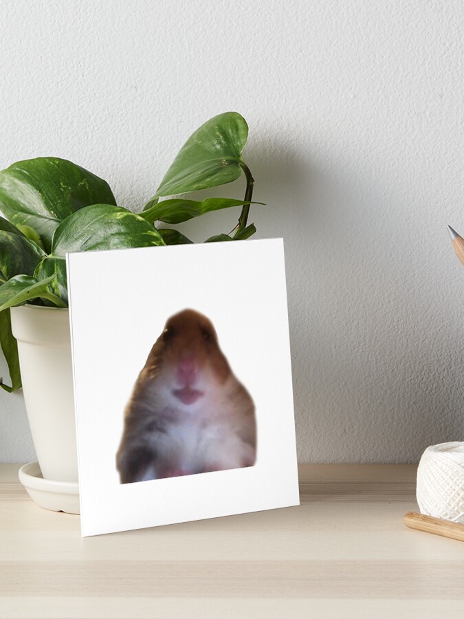 "Hamster Facetime Meme" Art Board Print for Sale by antisold | Redbubble