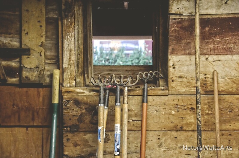 "Farm Tools, Inside the Barn" by NatureWaltzArts | Redbubble