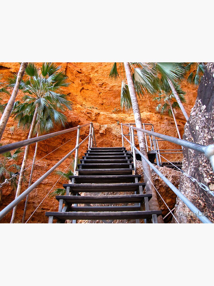 Póster «Mini Palm Gorge trail, Purnululu» de DianneLac | Redbubble