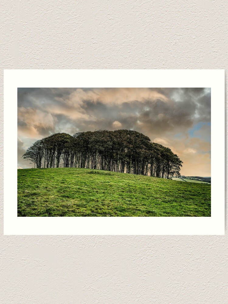 "Nearly Home Trees, Coming home trees, Cornwall trees Cookworthy Knapp ...