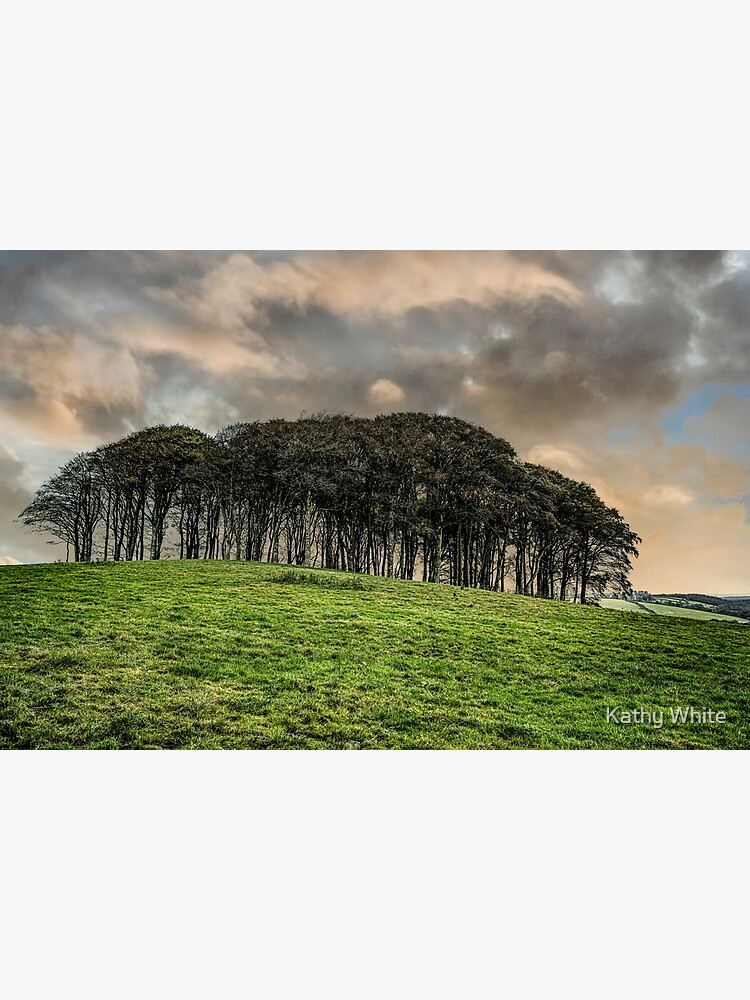 "Nearly Home Trees, Coming home trees, Cornwall trees Cookworthy Knapp ...