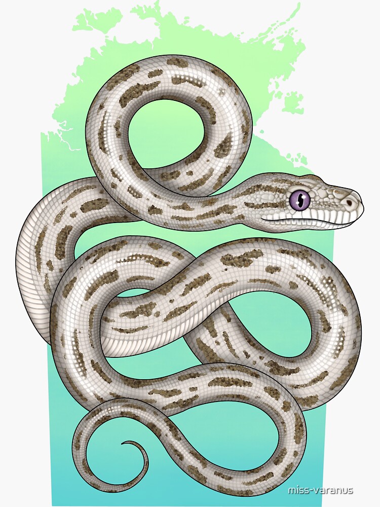 "Oenpelli Python NT" Sticker for Sale by miss-varanus | Redbubble