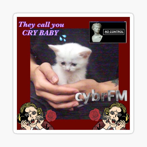 "CryBaby Kitty" Sticker for Sale by DestroyMeDaddy | Redbubble