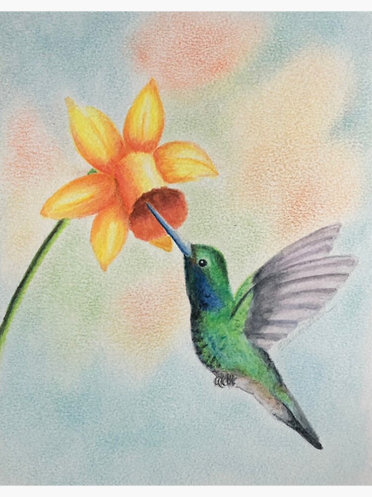 "Hummingbird and Daffodil" Sticker by erittler | Redbubble