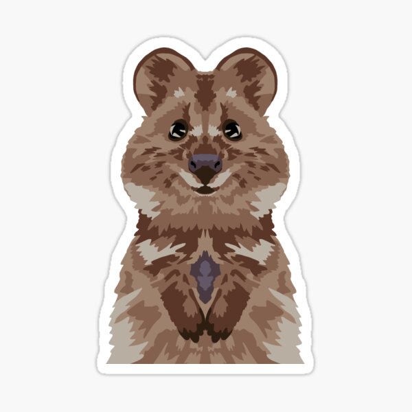 Quokka Gifts & Merchandise | Redbubble