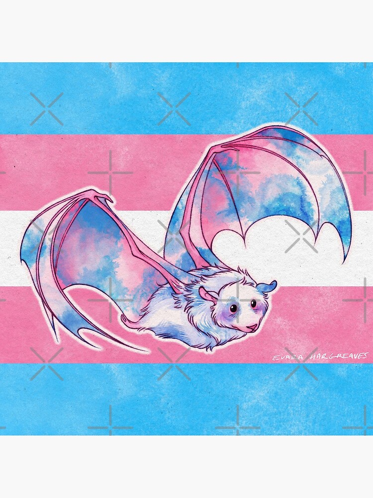 "Pride bat: Trans flag" Art Print for Sale by EvaraHargreaves | Redbubble