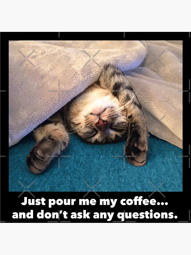 "Sleepy Cat Coffee memes" Poster for Sale by CoachBrent | Redbubble