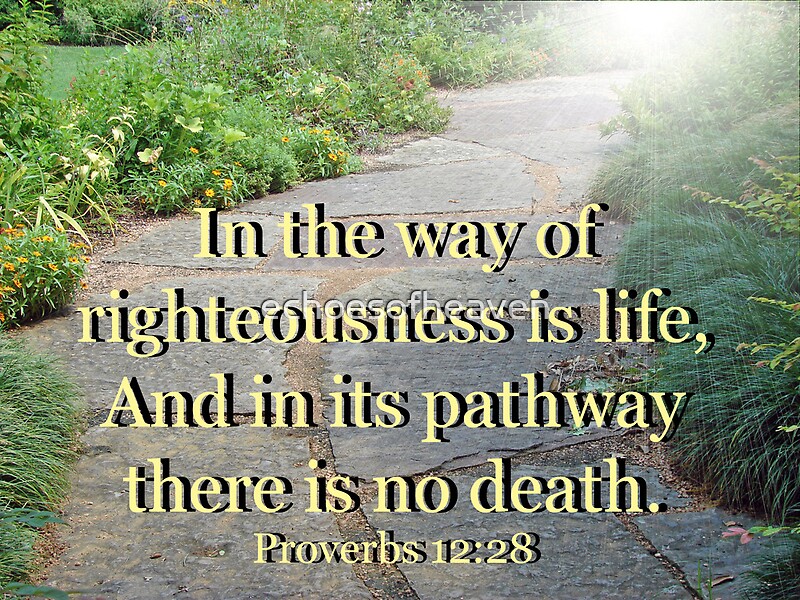 ""Proverbs 12:28" by Carter L. Shepard" by echoesofheaven | Redbubble