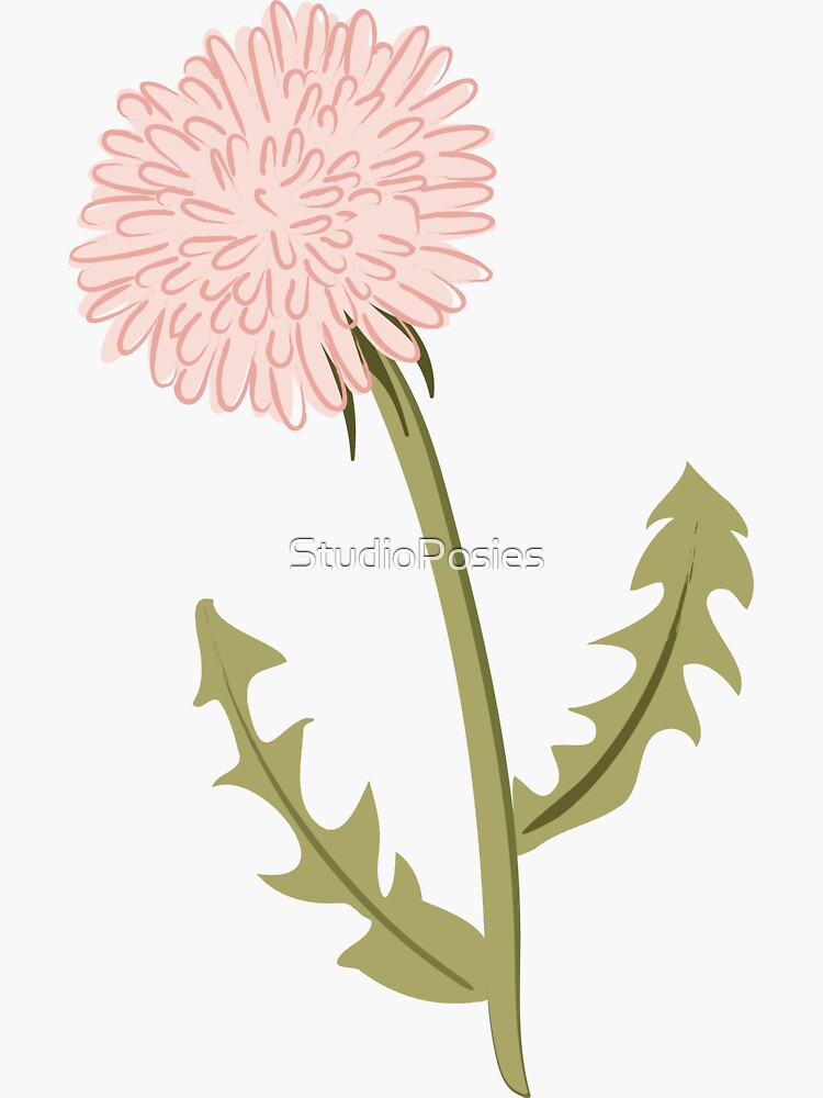 "Light Pink & Maroon Dandelions" Sticker by StudioPosies | Redbubble