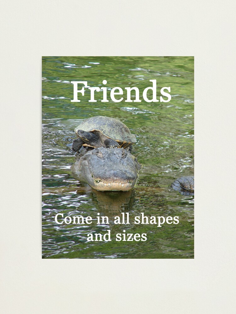""Friends come in all shapes and sizes" by Carter L. Shepard" Fotodruck ...