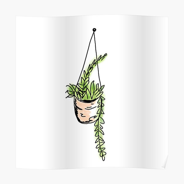 "Hanging plant doodle" Poster for Sale by emlouisec13 | Redbubble