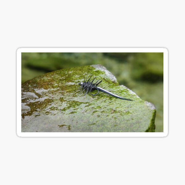 "Leech fly nymph" Sticker by mary02 | Redbubble