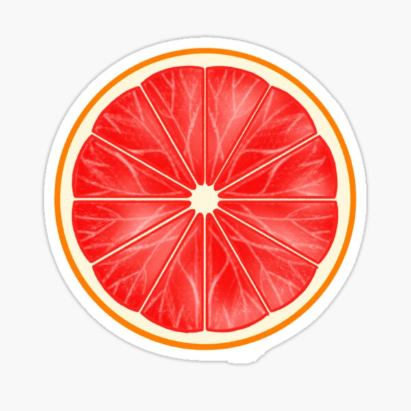 "Grapefruit drawing" Sticker for Sale by joceykessler | Redbubble