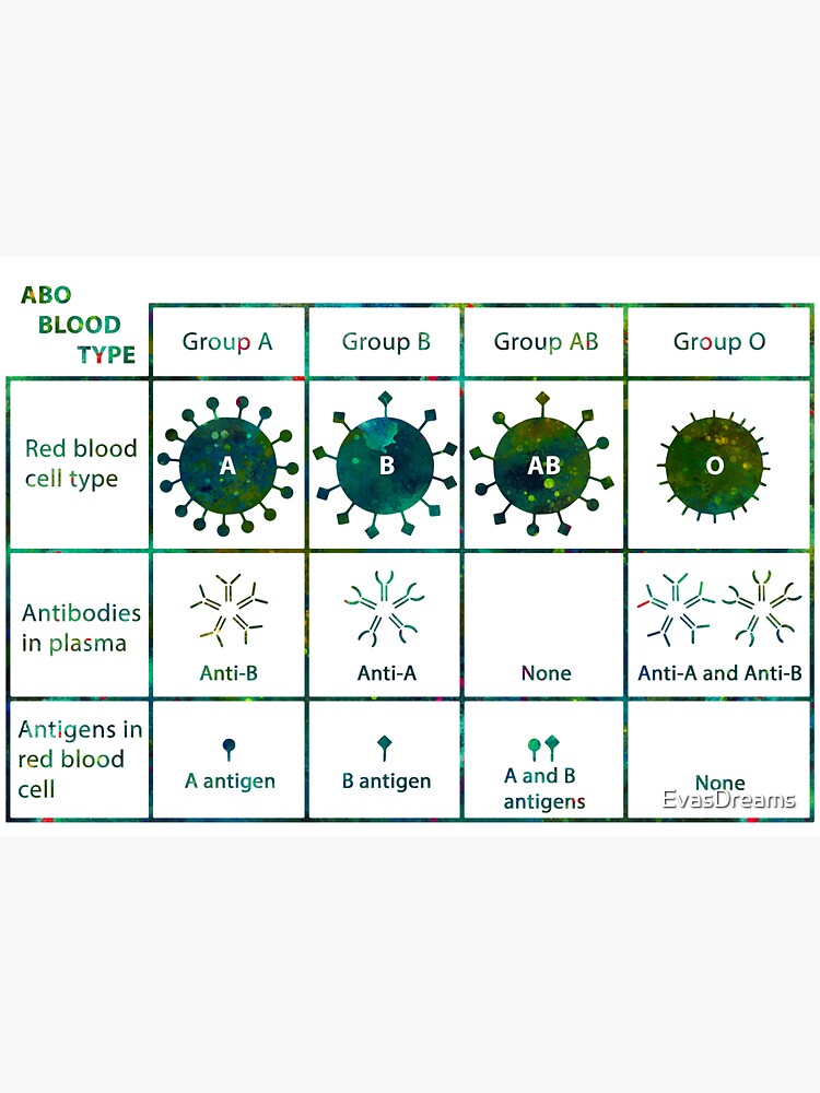 "ABO Blood Type Chart" Sticker for Sale by EvasDreams | Redbubble