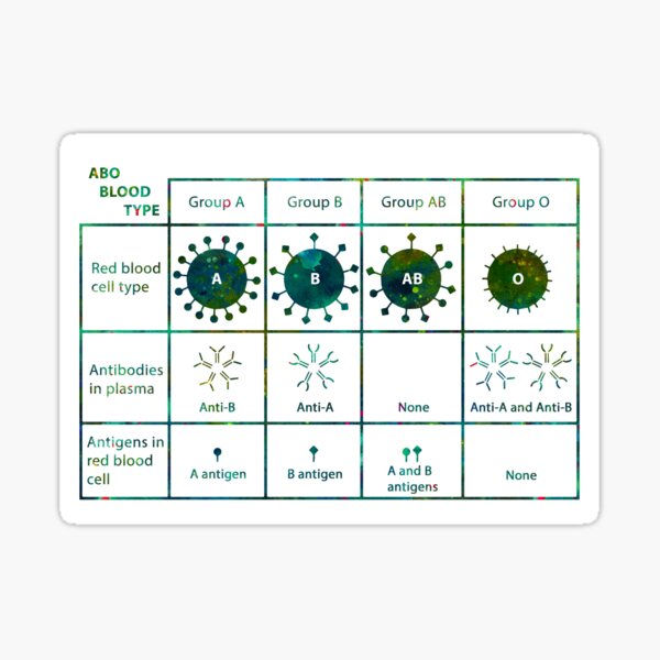 "ABO Blood Type Chart" Sticker for Sale by EvasDreams | Redbubble
