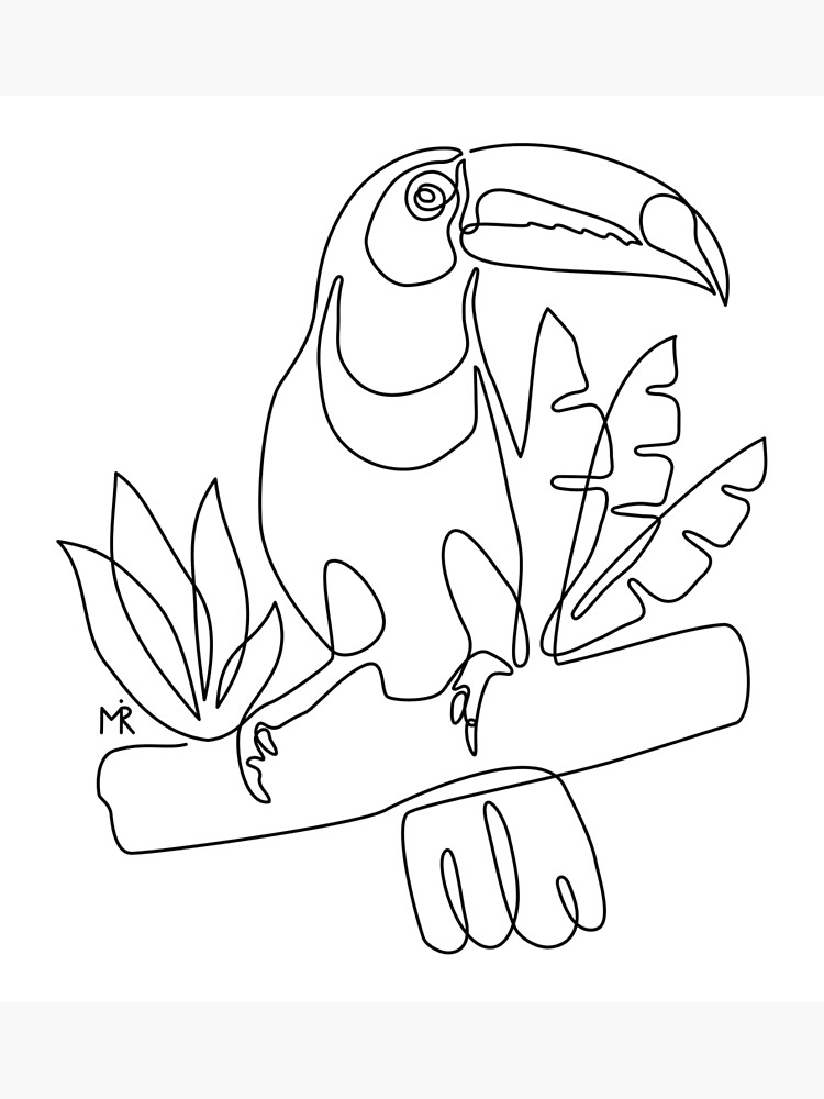 "Toucan Line Art Drawing" Poster for Sale by mirllustration | Redbubble