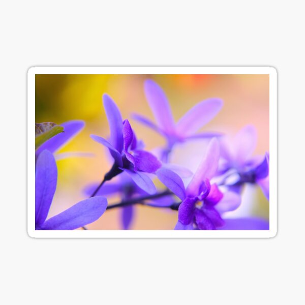 "Enchanted" Sticker by equilibrio | Redbubble