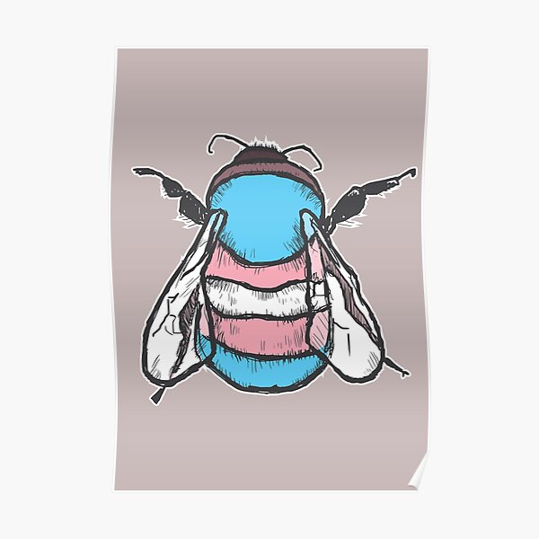 Transgender Posters | Redbubble