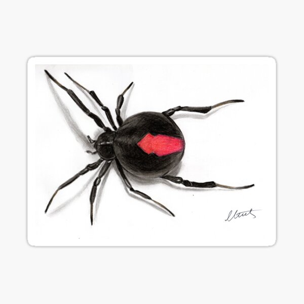 Redback Spider Stickers | Redbubble