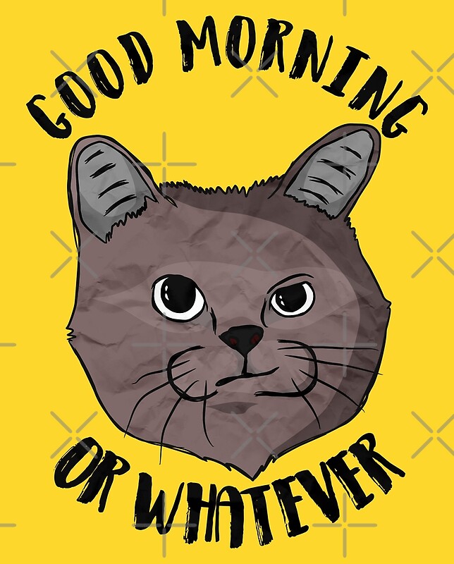 "Good Morning Or Whatever Cat Meme" by therealsadpanda | Redbubble